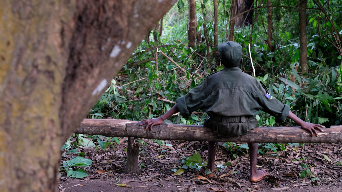 Bambini reclutati come soldati: rapiti e utilizzati dai gruppi armati ...