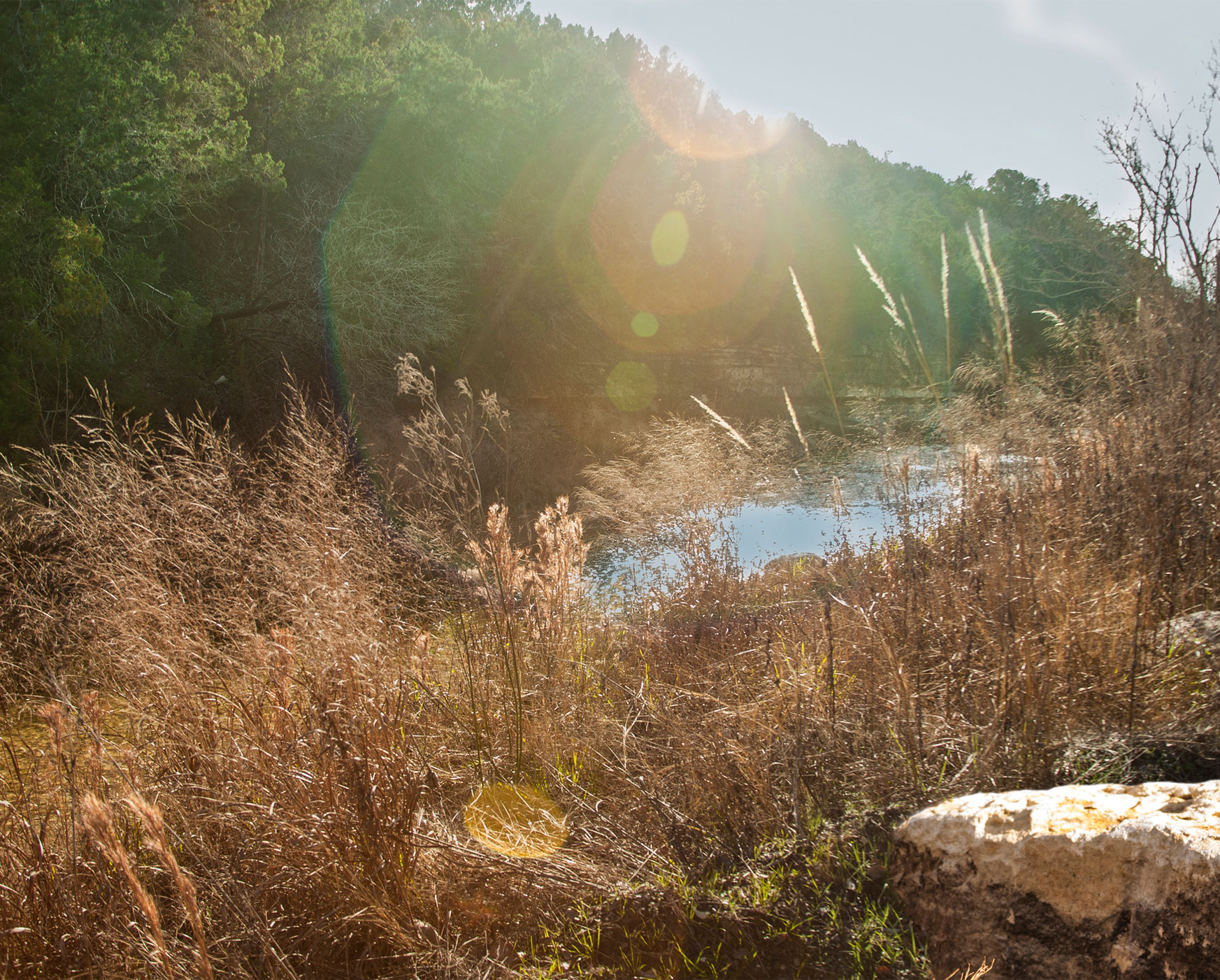 Contact Us | Genesis Lifestyle Medicine