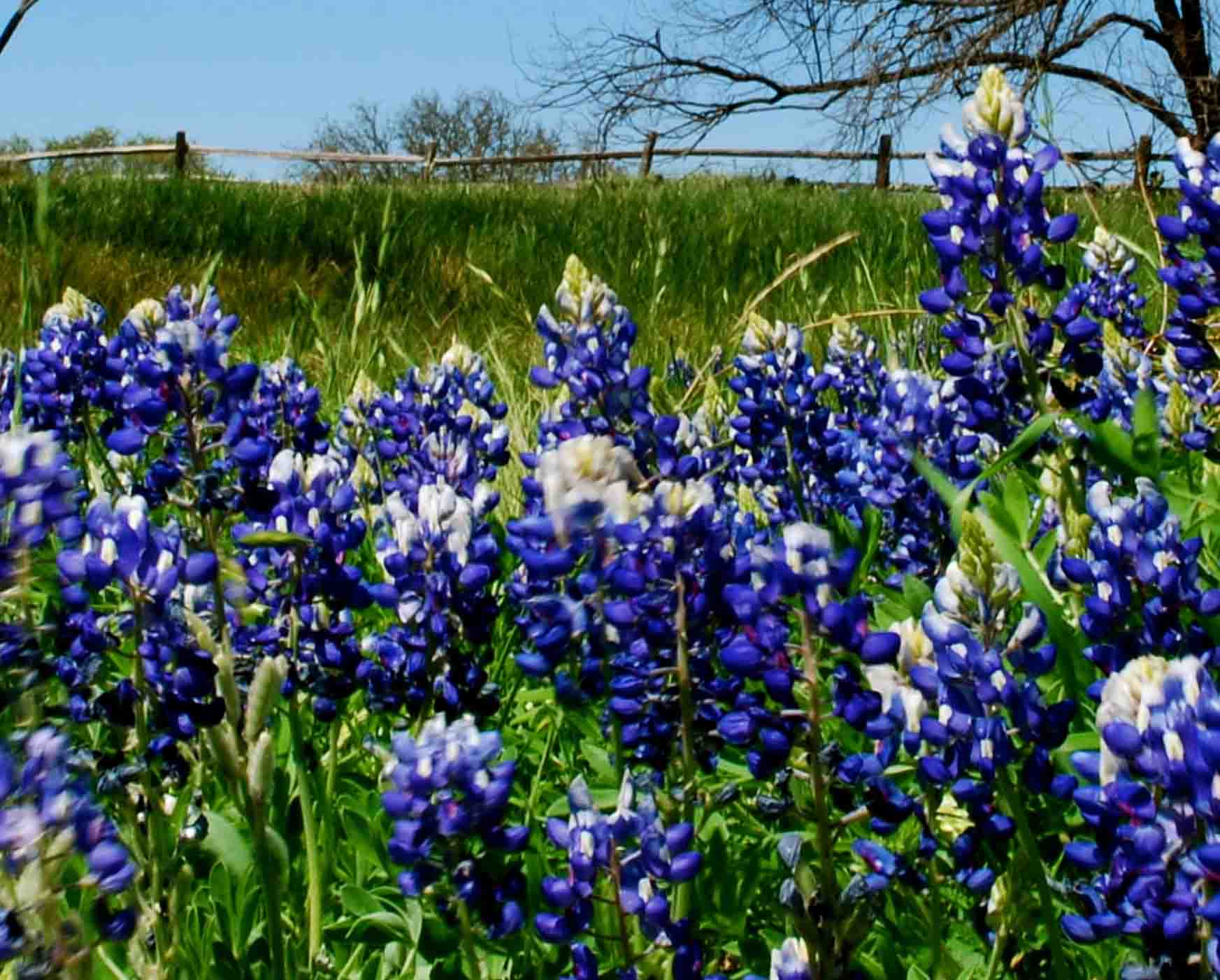 Contact Us | Genesis Lifestyle Medicine