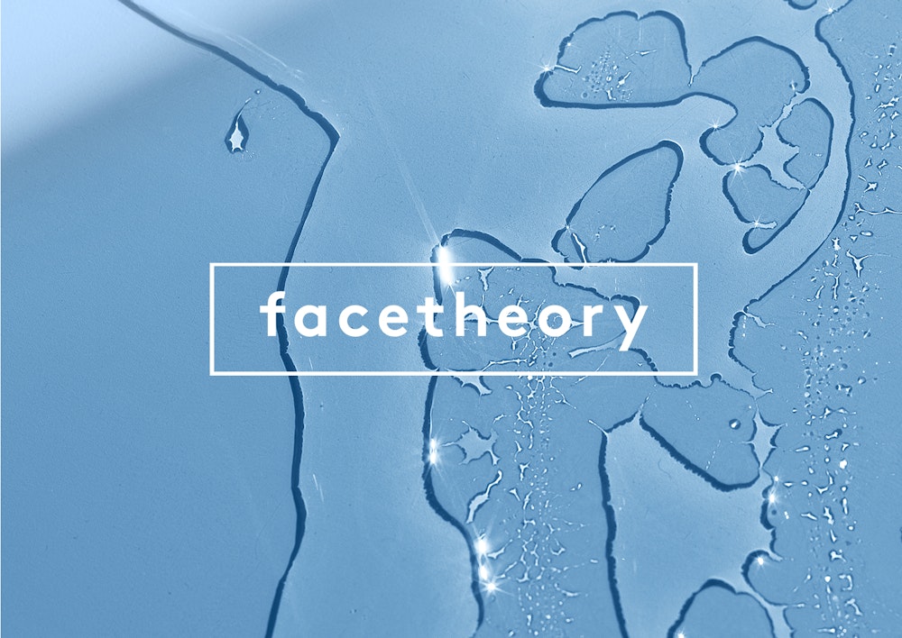 Facetheory - admjacqus.com