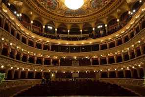 Sluha dvou pánů (Národní divadlo Brno (NdB)) - ColosseumTicket ...