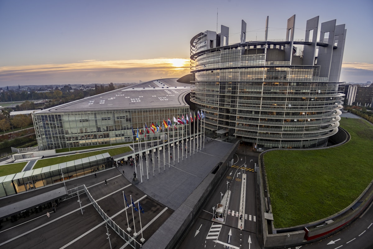 Minority representation in the EU Parliament has slightly increased