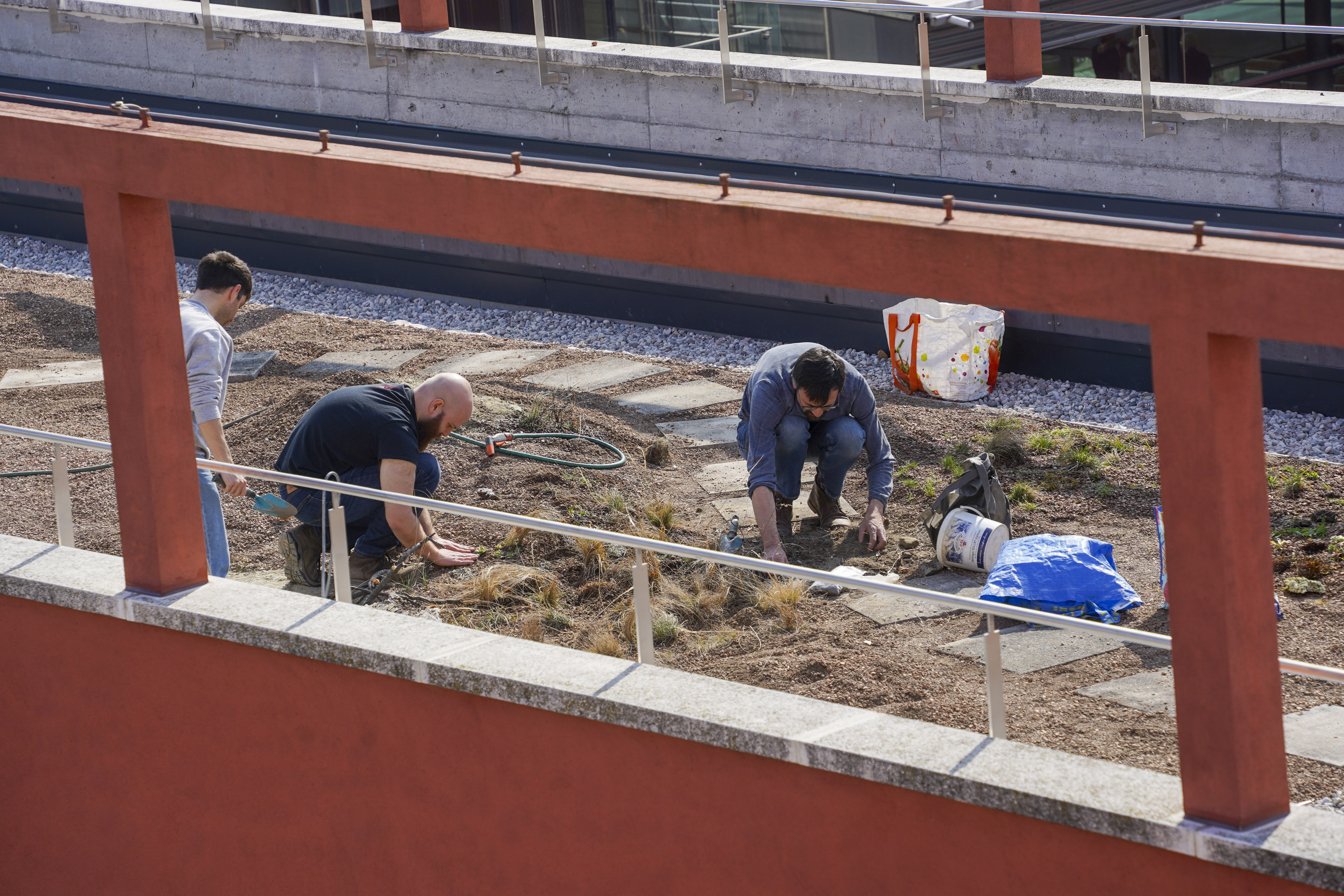 GRACE - Green roofs for alpine ecological connectivity - Eurac Research