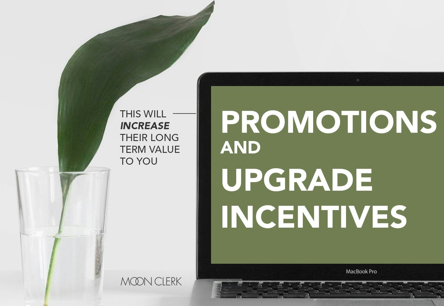 10 Pricing Strategies For Subscription Based Businesses