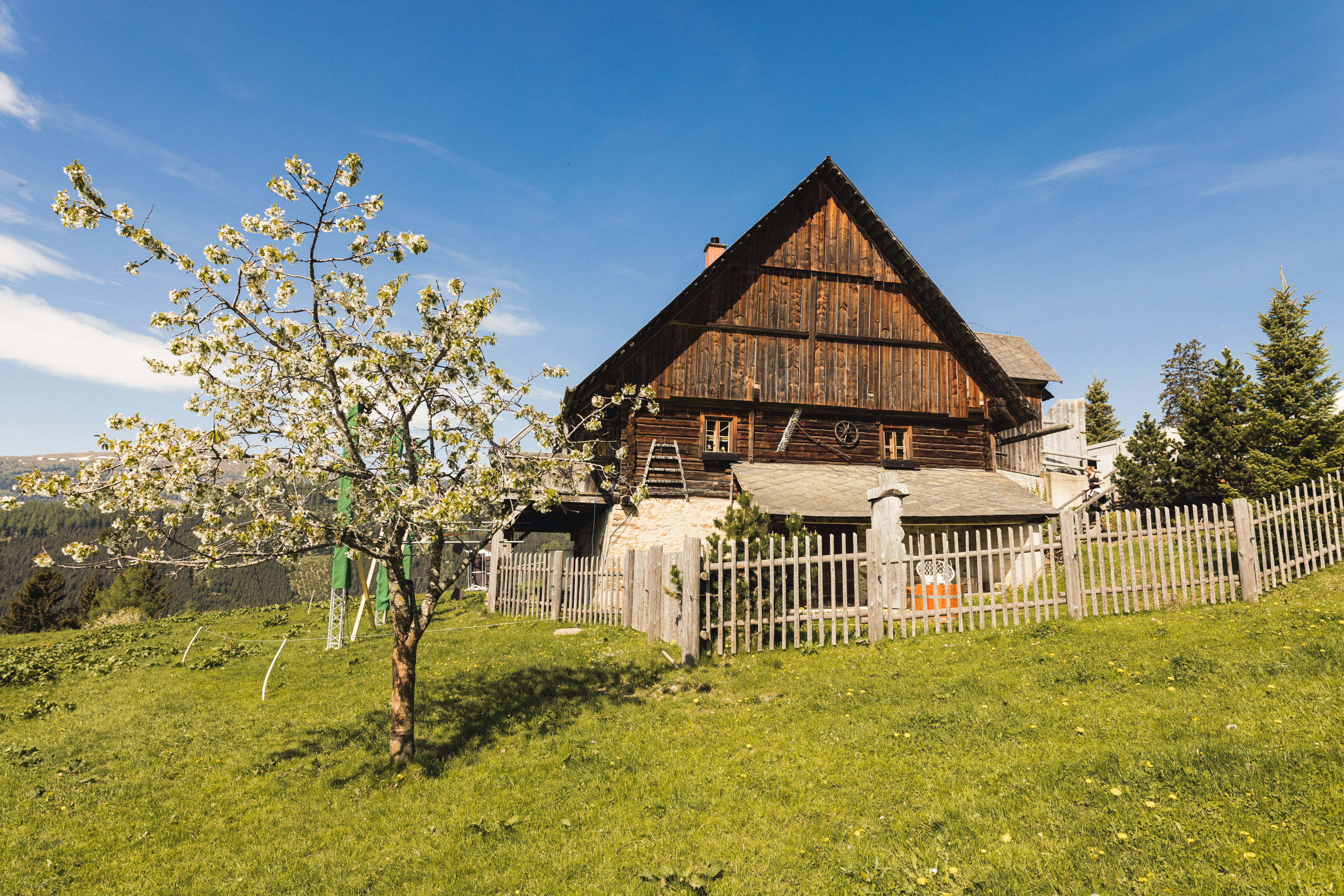 Forsthaus Rampensau - Staffel 3 - prosiebensat1puls4.com