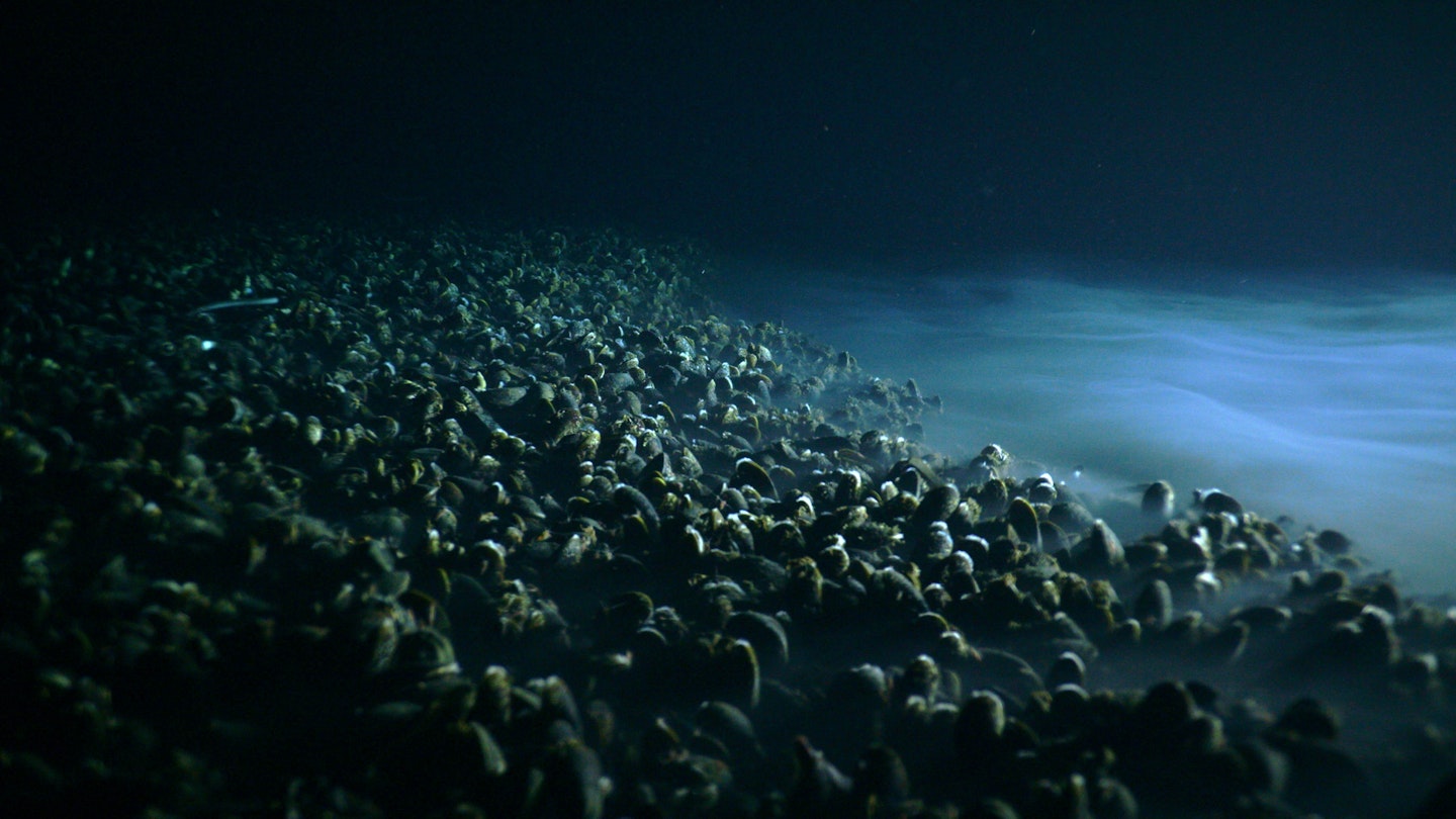 Underwater Lake In Ocean