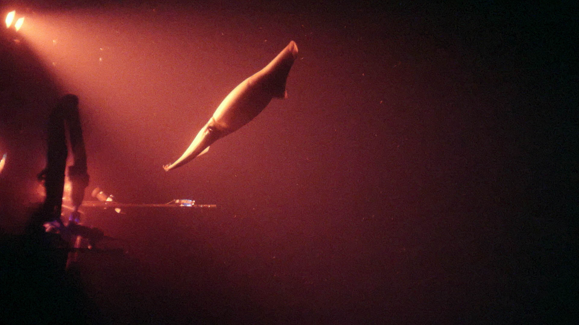 OceanX || Hunting For The Humboldt Squid With Edith Widder