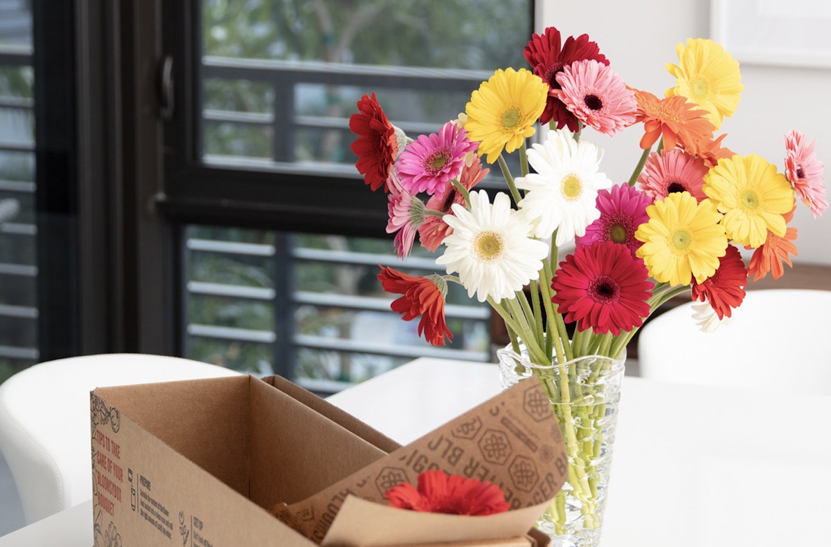 Flower Delivery | Send Flowers Online