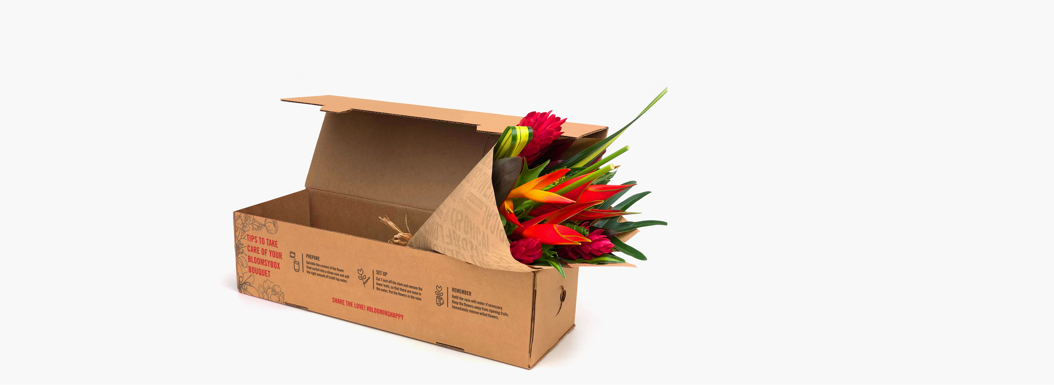 Tropical Treasure - Flower Delivery | BloomsyBox