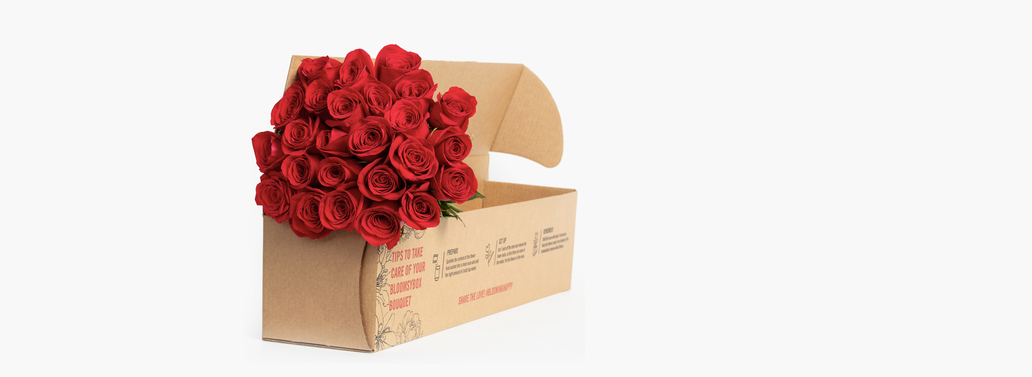 Red Rose Delivery | BloomsyBox