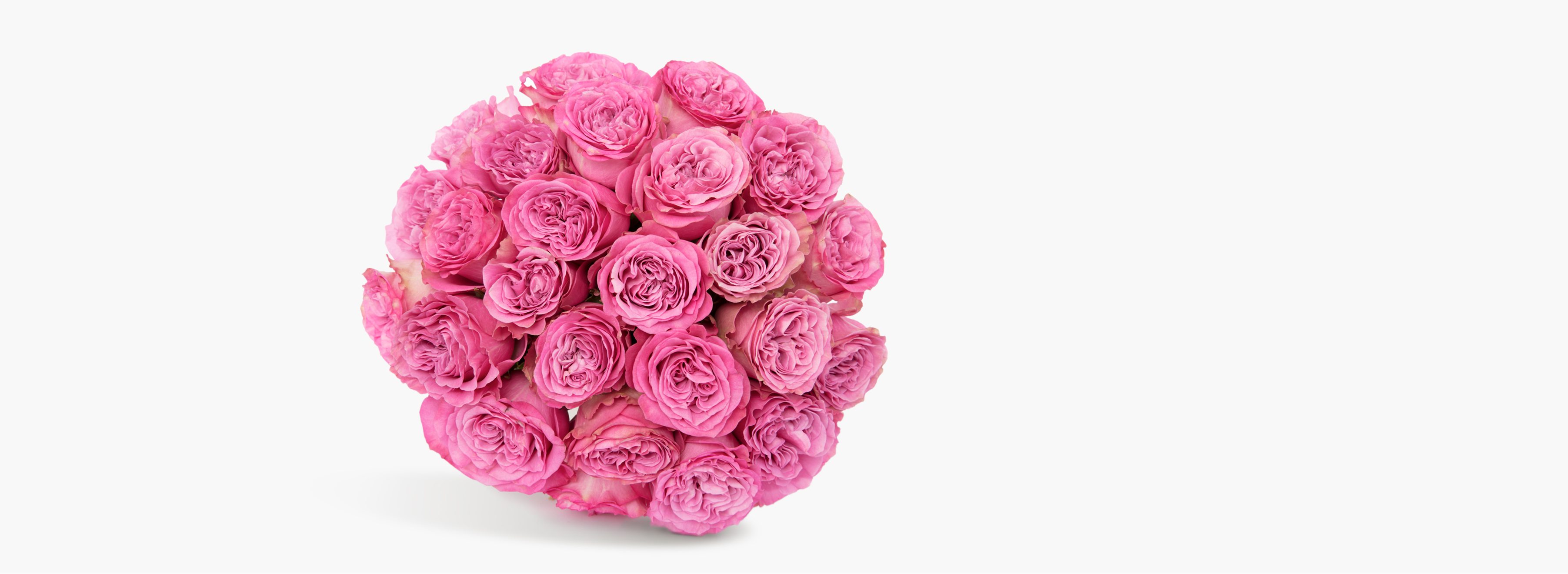Queens Crown Roses - Bouquet Delivery | BloomsyBox.com
