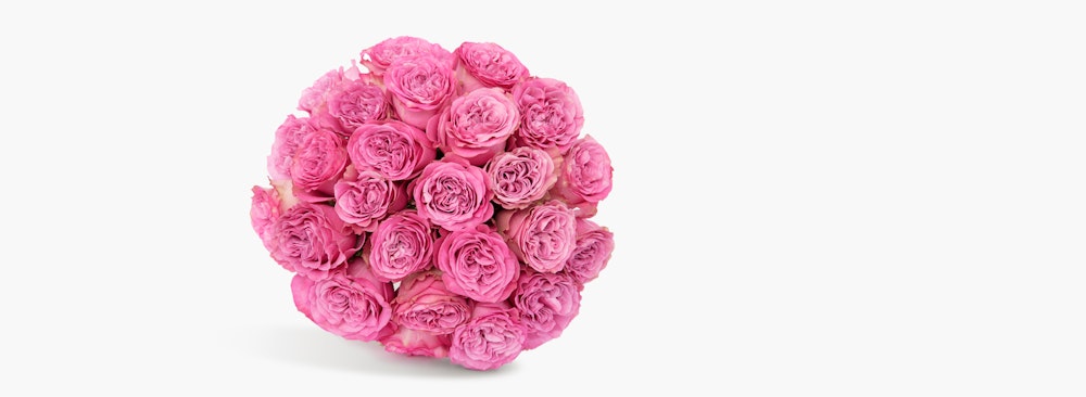 Queens Crown Roses - Bouquet Delivery | BloomsyBox.com