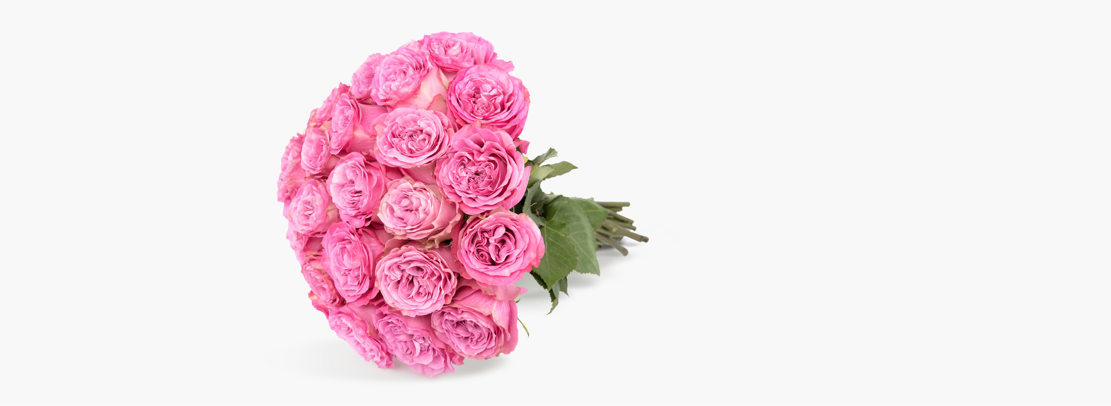 Queens Crown Roses - Bouquet Delivery | BloomsyBox.com