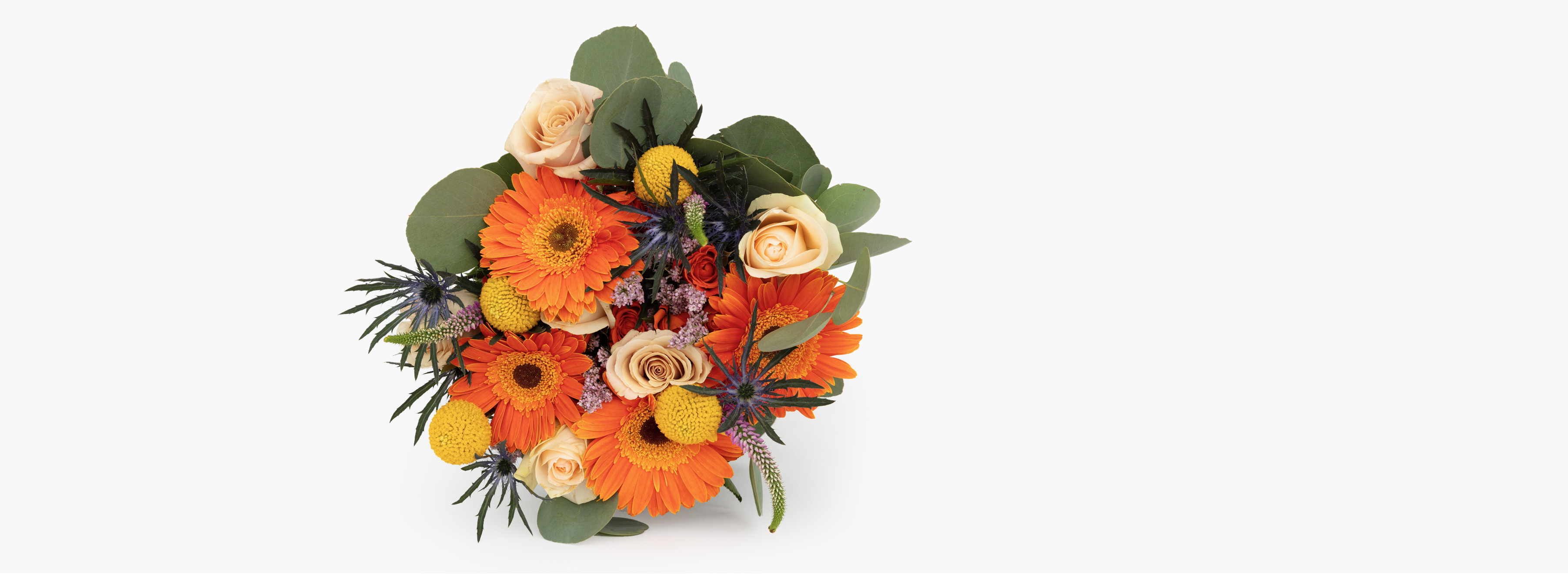 Congratulations Flowers for Delivery | BloomsyBox.com