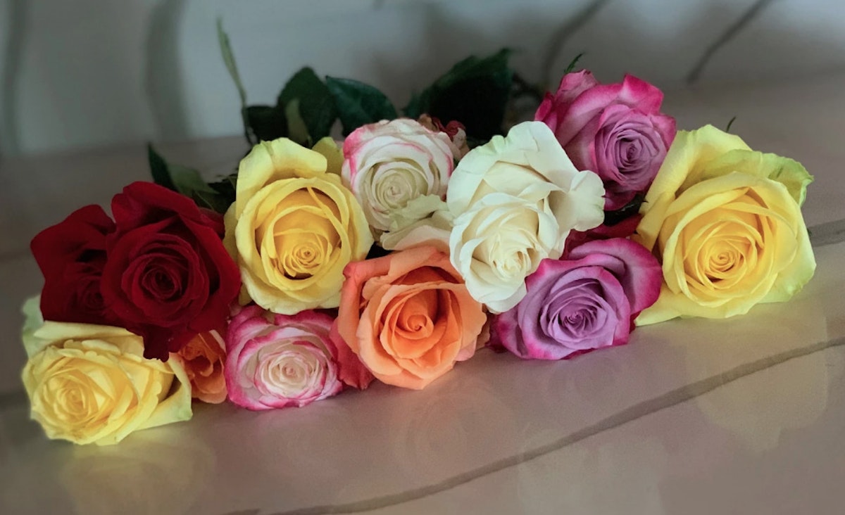 Explore: Choosing mother's day roses