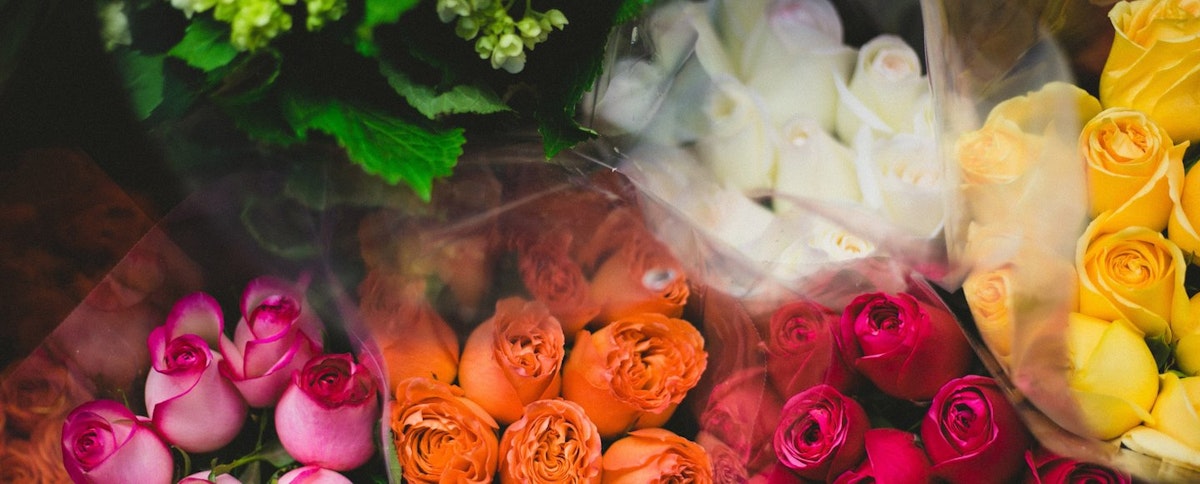 Explore: Top 10 reasons to send roses