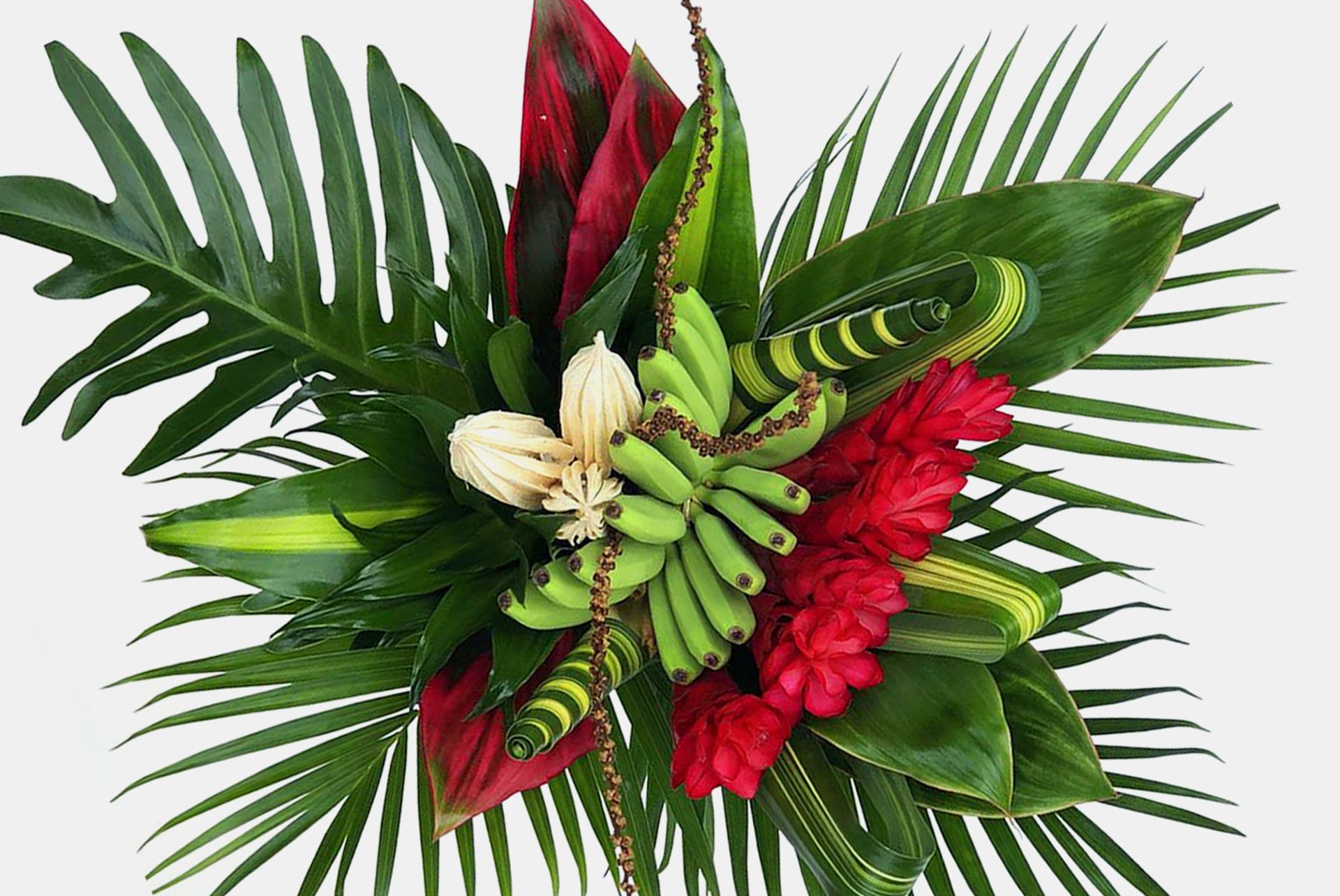 Most spectacular tropical flowers: 20 varieties you'll love
