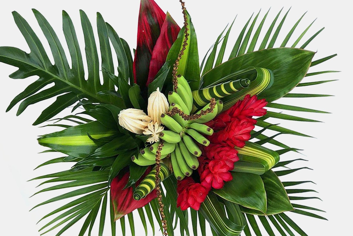 Most spectacular tropical flowers: 20 varieties you'll love