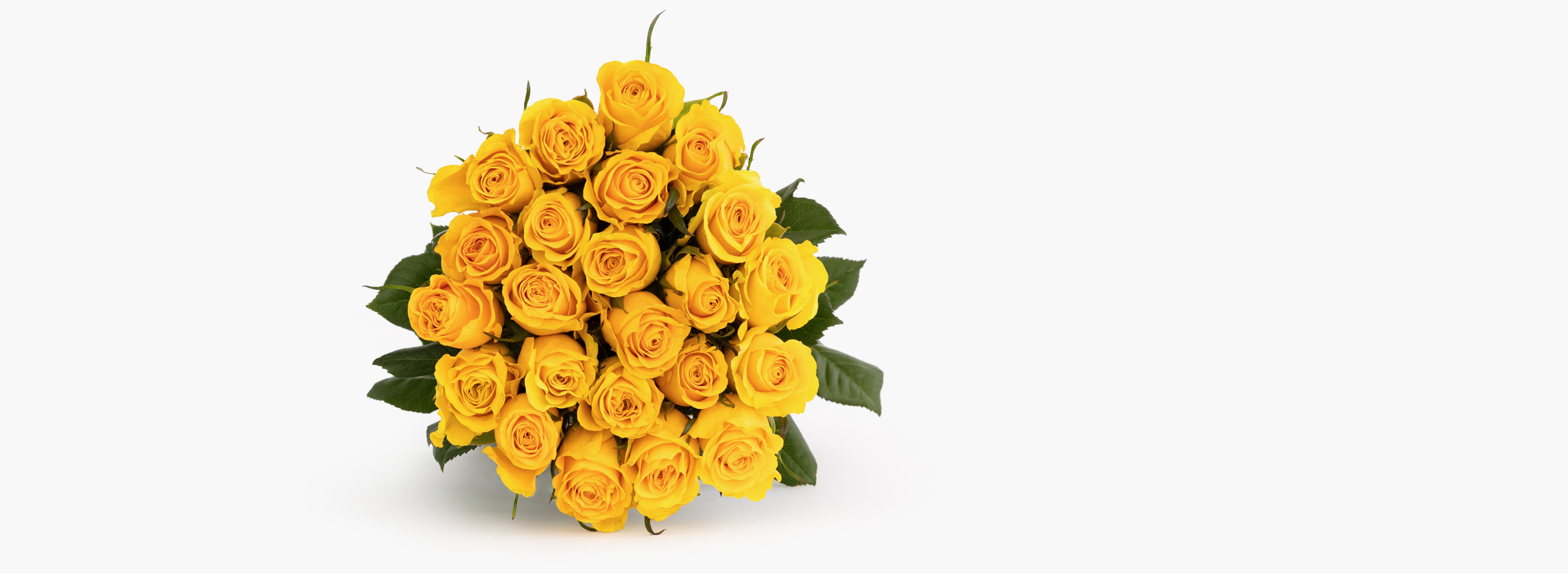 New Baby Flowers | Flowers for Mom | Flower Delivery