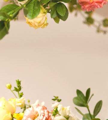 Bi-weekly Flower Delivery | Flower Subscription | BloomsyBox