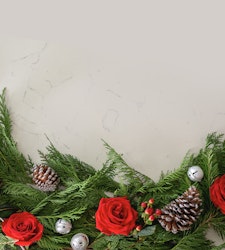 Christmas Flowers Delivery - Send Flowers | BloomsyBox.com