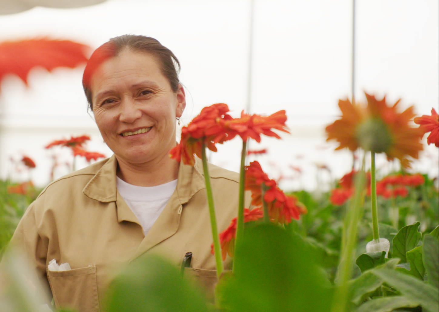 Flower Subscription | Monthly flowers | BloomsyBox