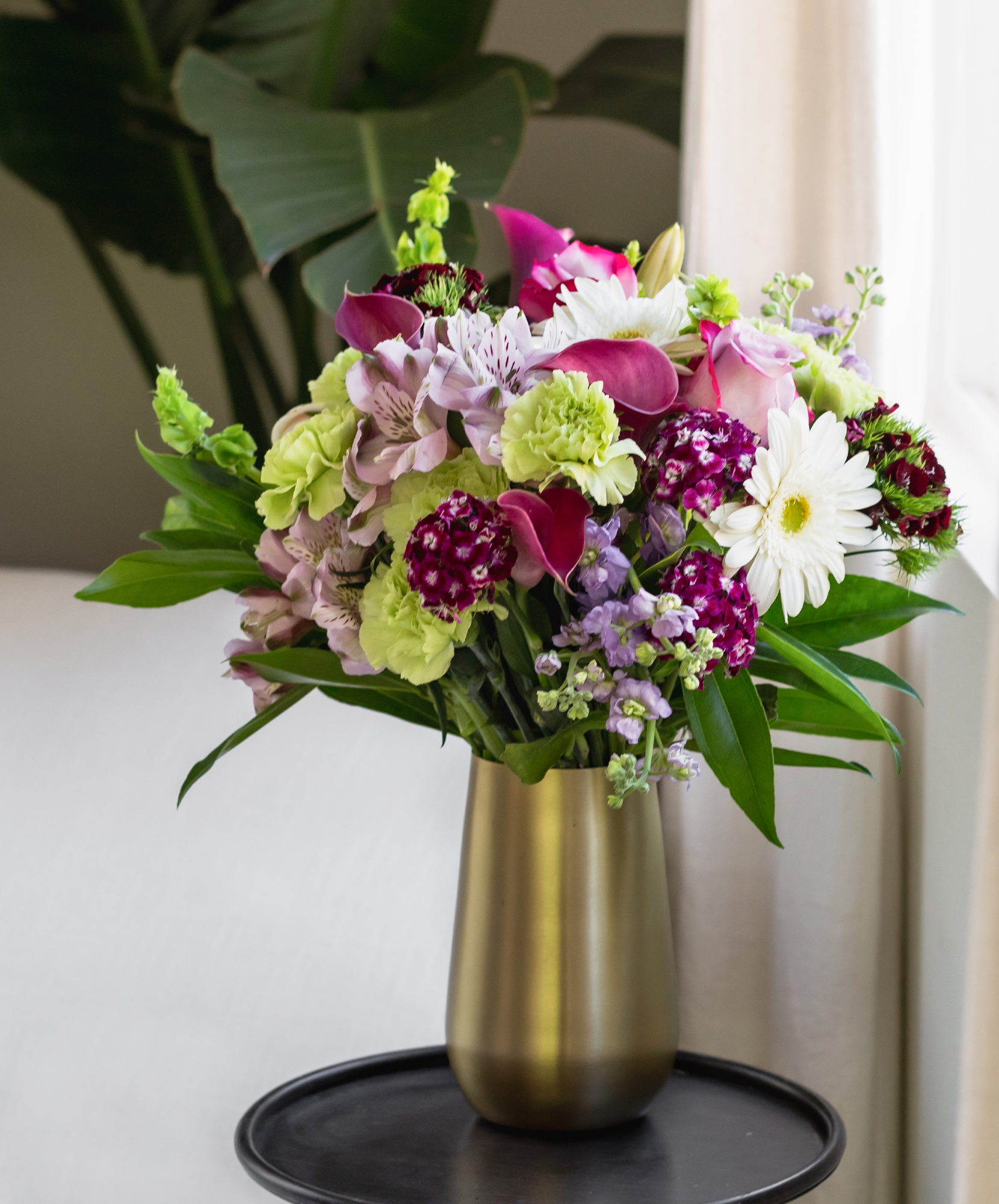 Pet-Safe Flowers Guide | BloomsyBox