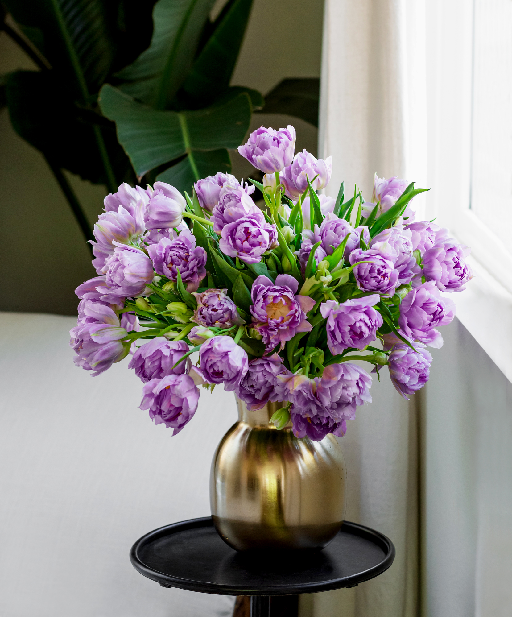 50 Lavender Peony Tulips Bouquet | BloomsyBox