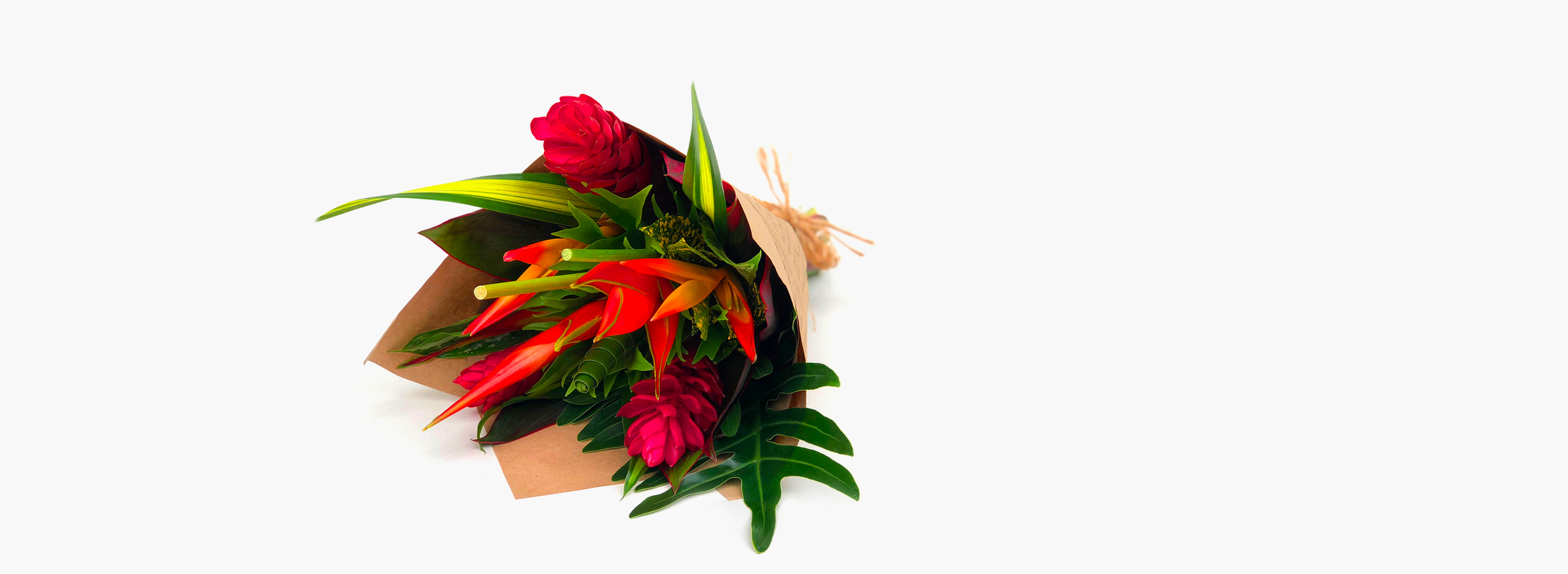 Tropical Treasure - Flower Delivery | BloomsyBox