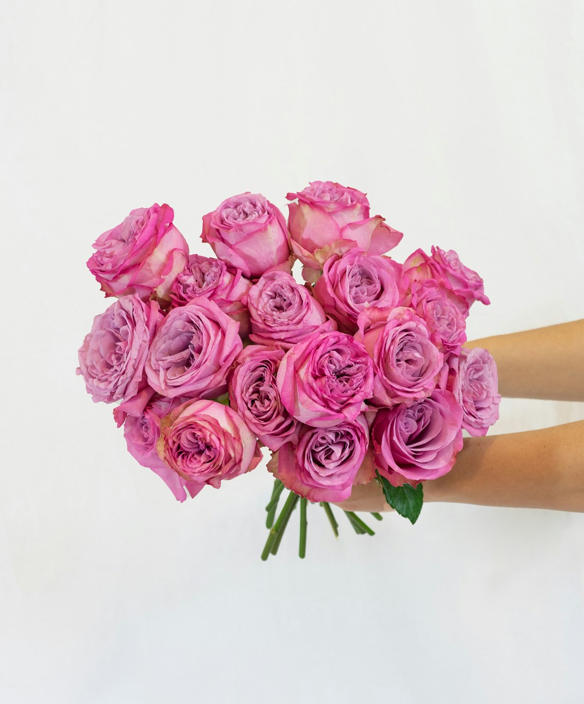 Queens Crown Roses - Bouquet Delivery | BloomsyBox.com