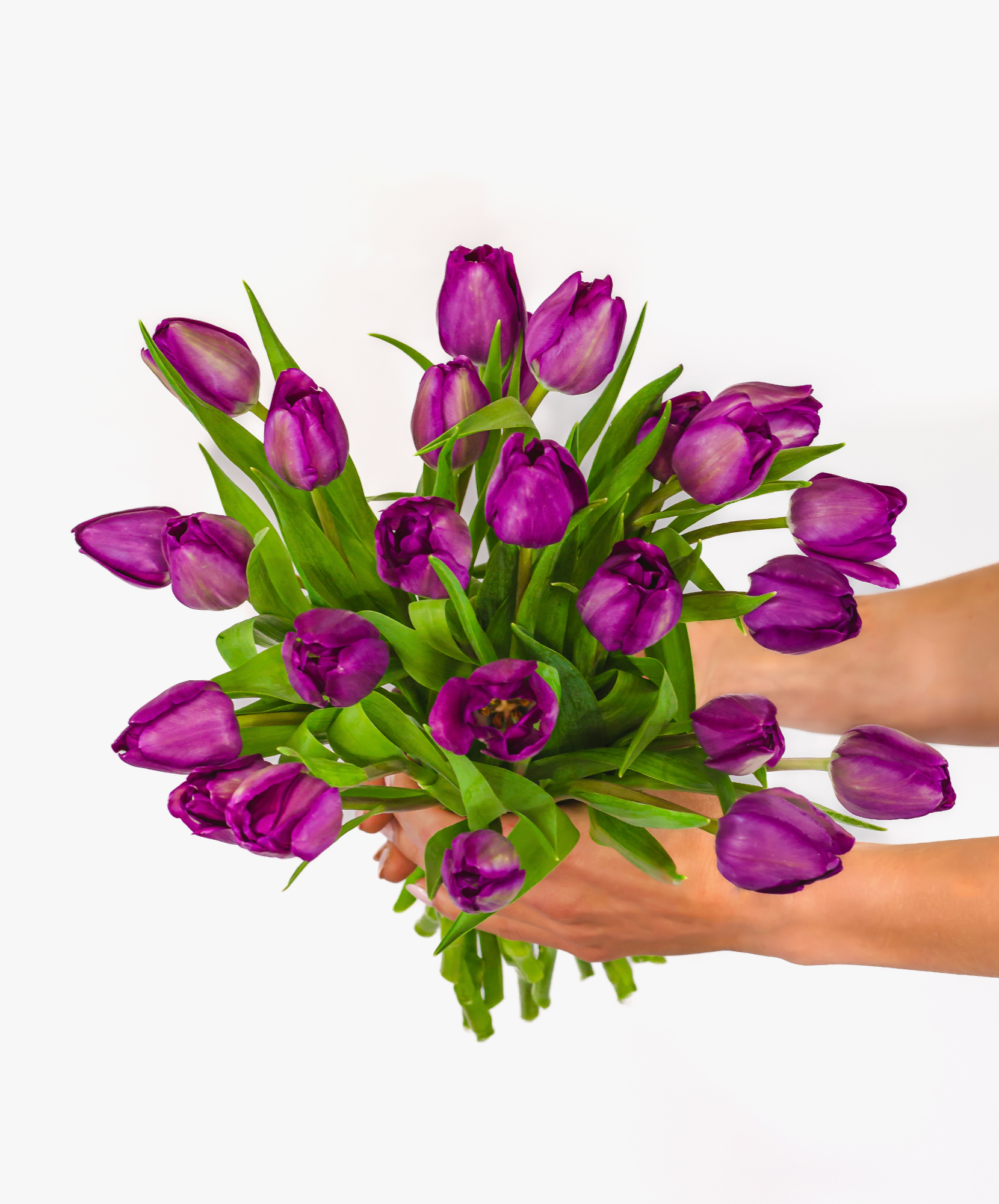Purple Pop