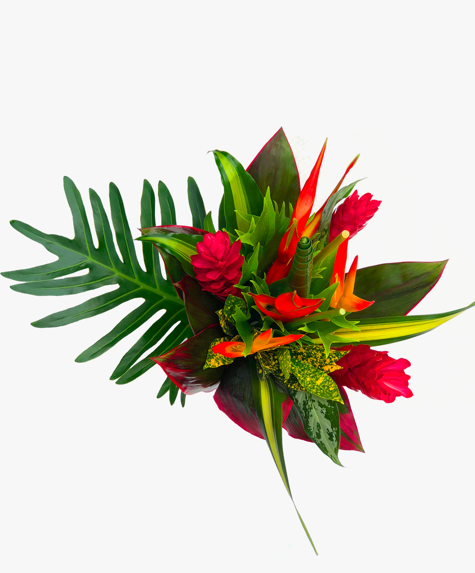 Tropical Treasure - Flower Delivery | BloomsyBox