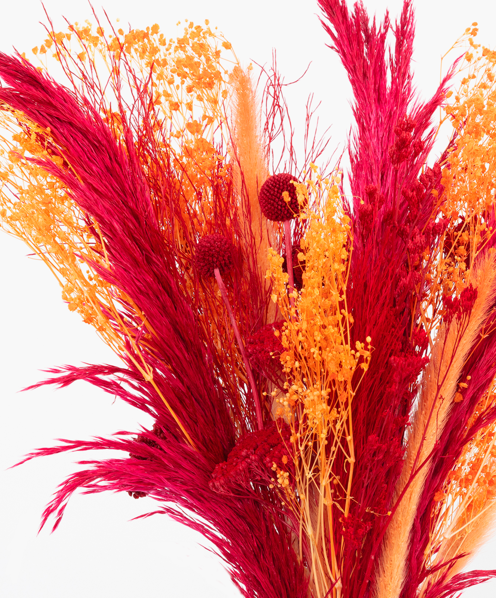 Flush Preserved Bouquet | BloomsyBox