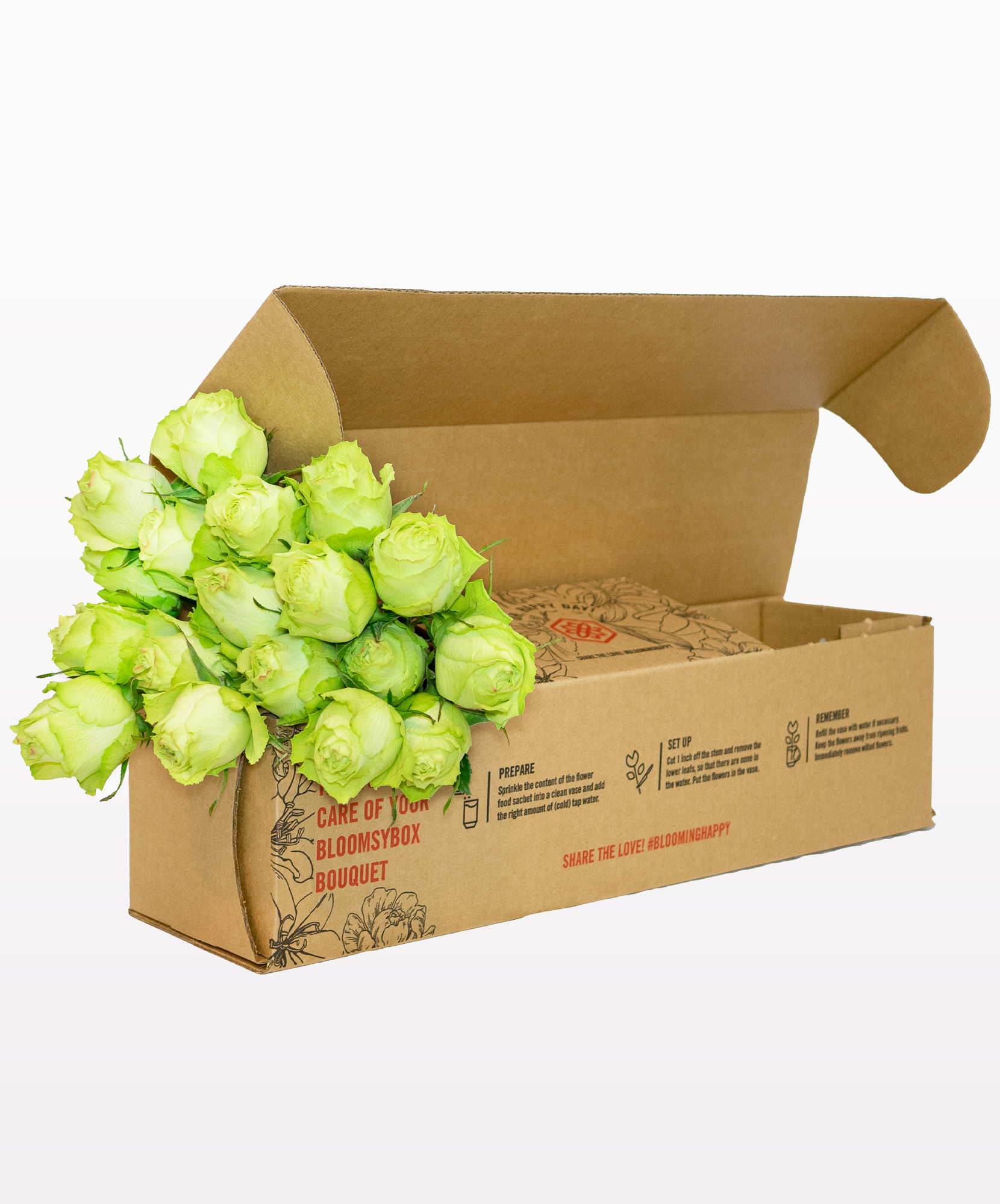 Lemonade Roses Bouquet | BloomsyBox