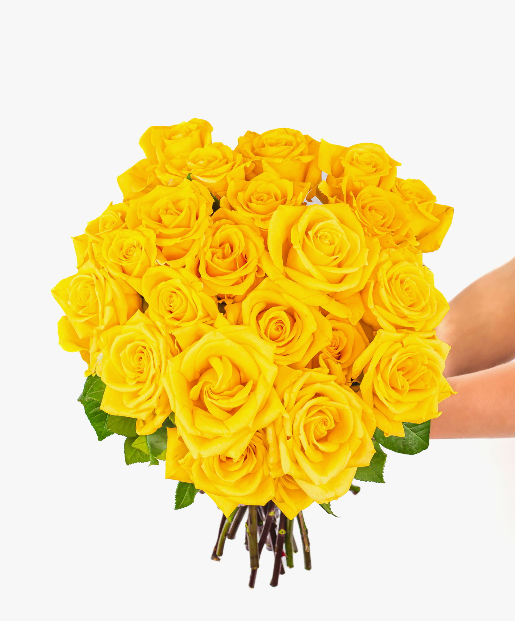 Roses Delivery | Send Roses With Our Flower Delivery Service