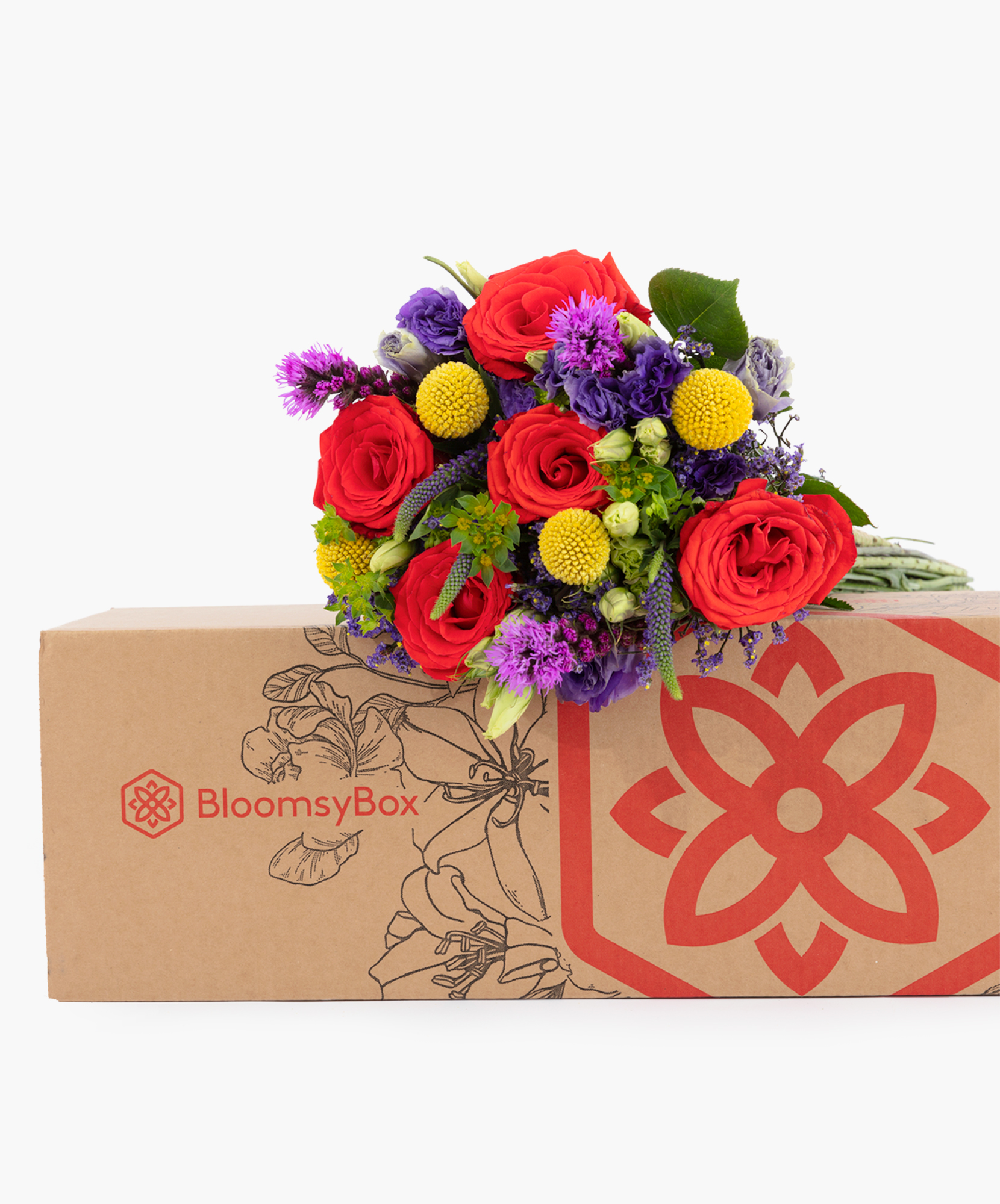 Dusk Horizon | BloomsyBox