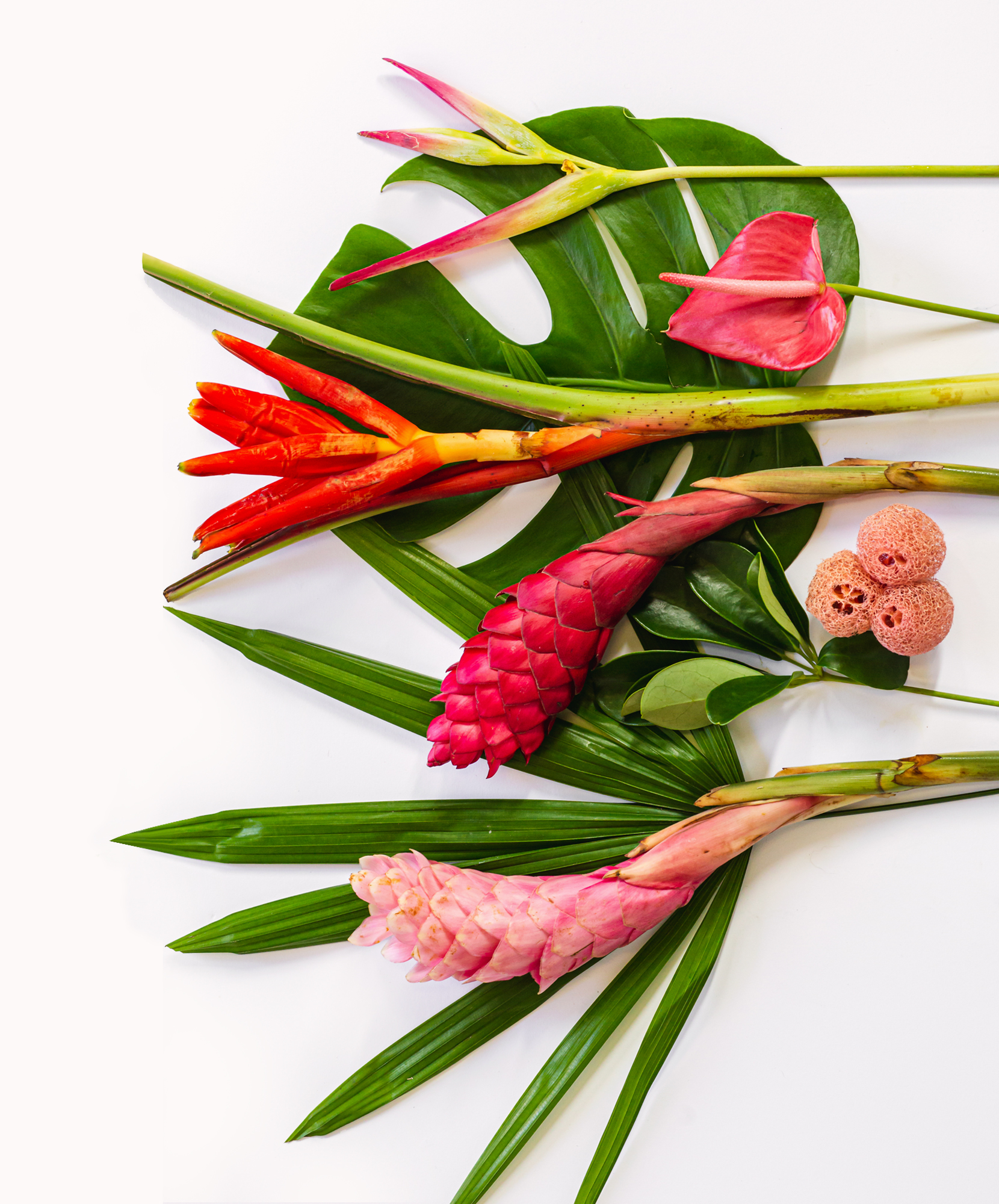 Vacation in the Tropics Tropical Bouquet | BloomsyBox