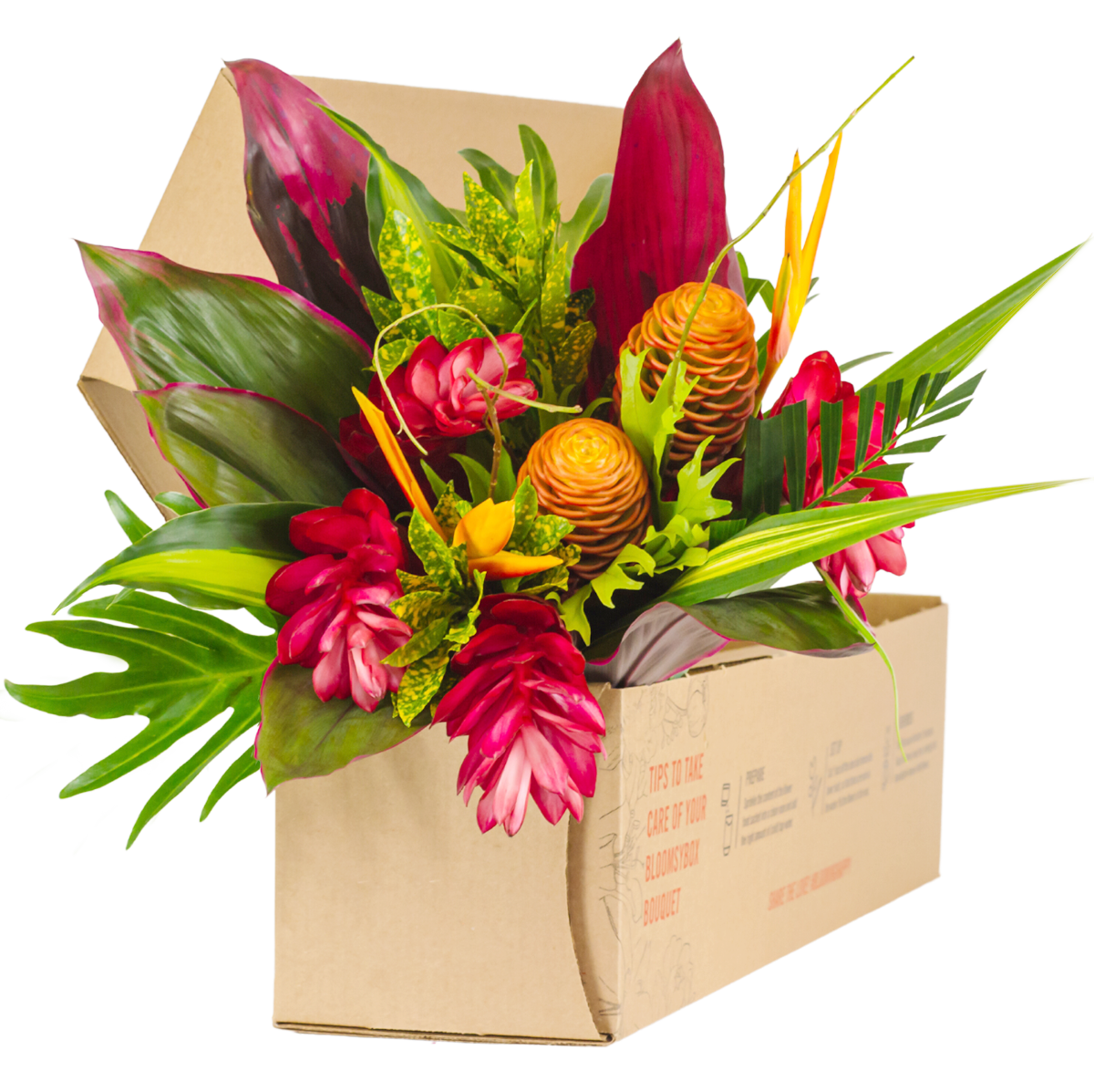 Unwrap Summer Joy: Free Shipping on Every BloomsyBox Subscription ...