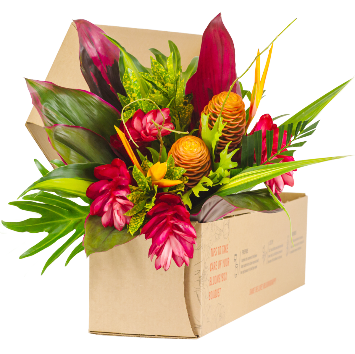 Tropical Subscription | BloomsyBox