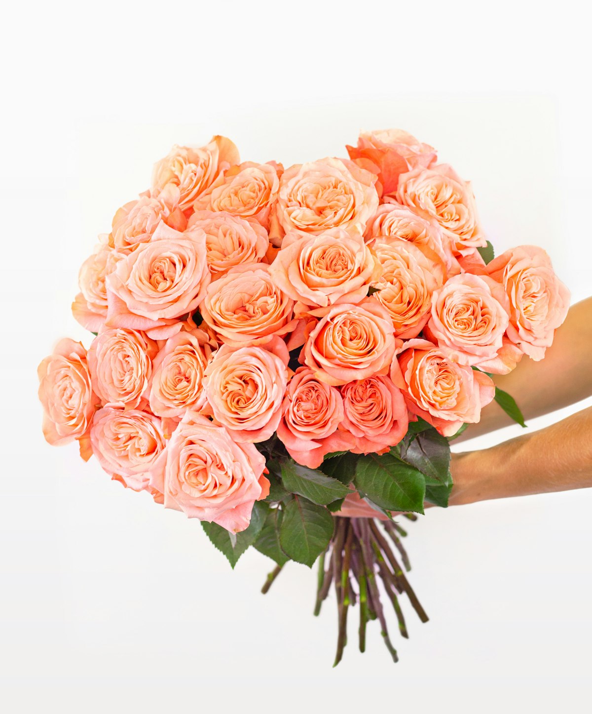 Cashmere Blush Rose Bouquet | BloomsyBox