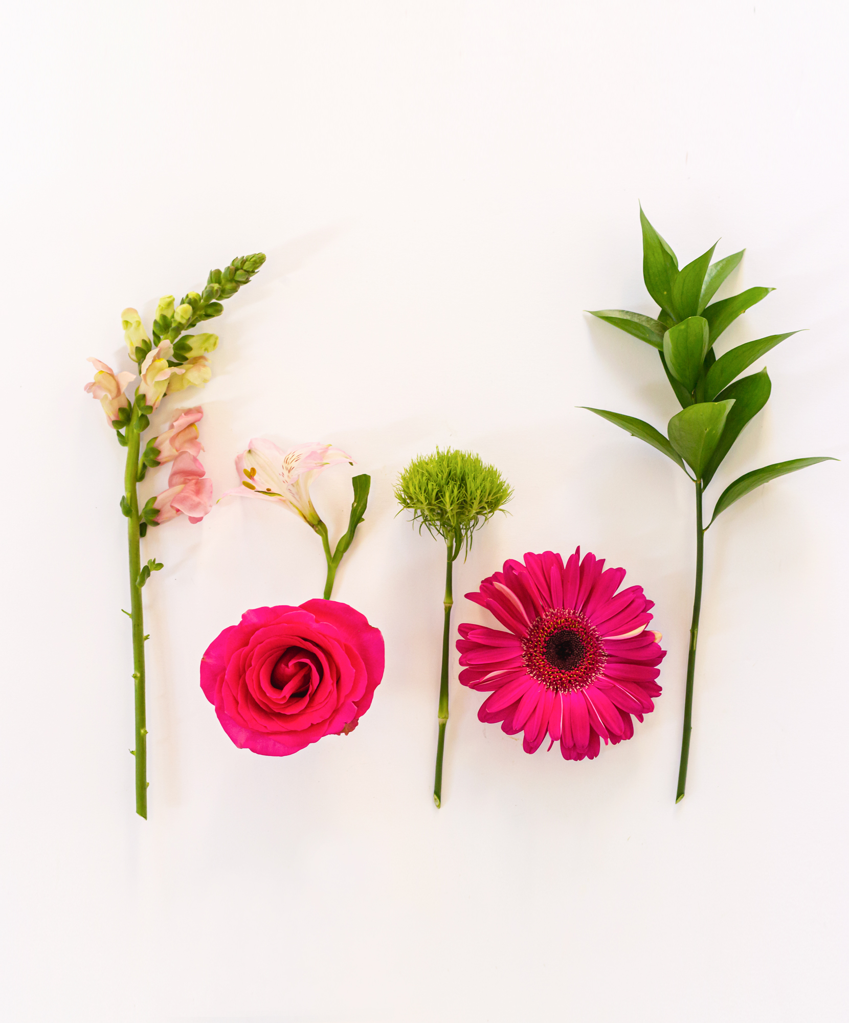 Garden Fresh | BloomsyBox