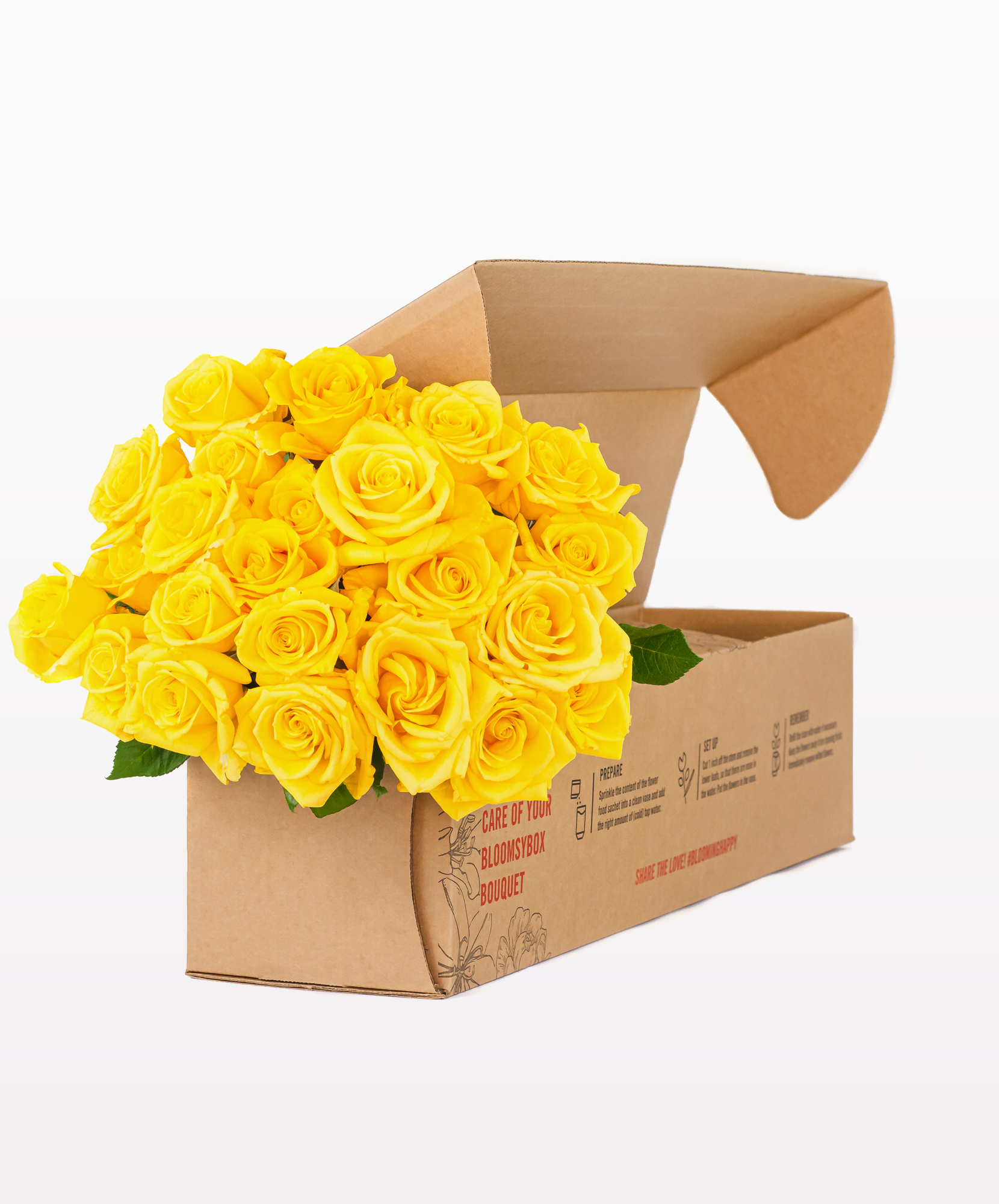Yellow Roses | BloomsyBox.com