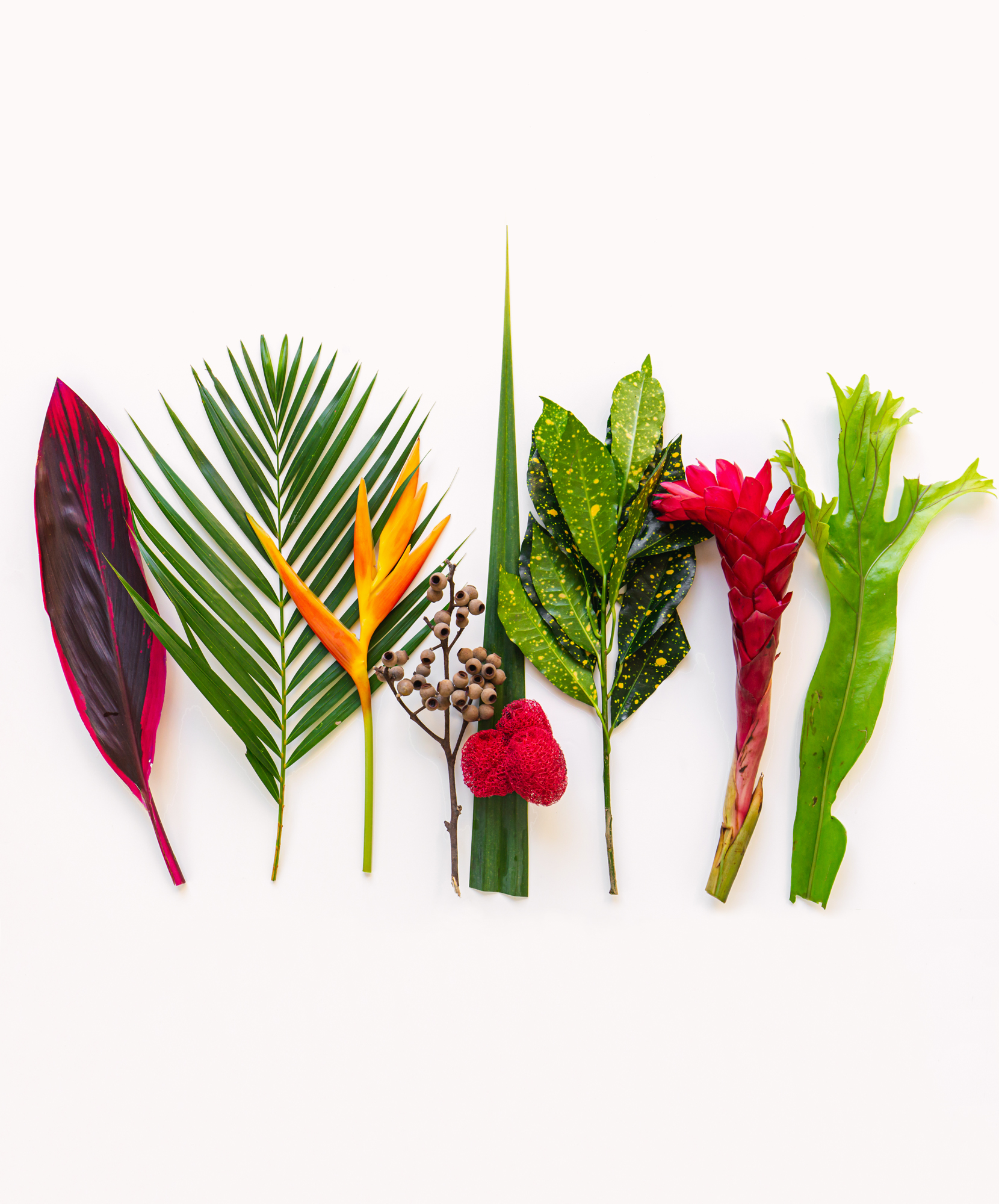 Jewel of the Rainforest | Tropical bouquet with red ginger and ...