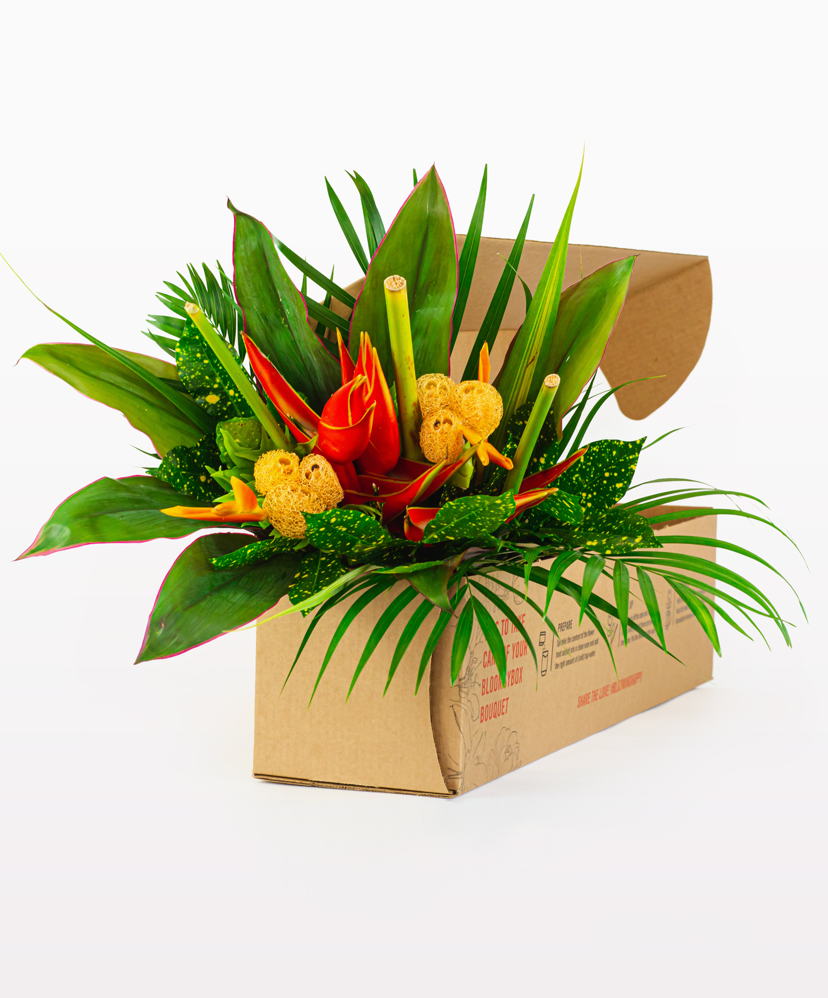 Rainforest Sunrise Tropical Bouquet | BloomsyBox