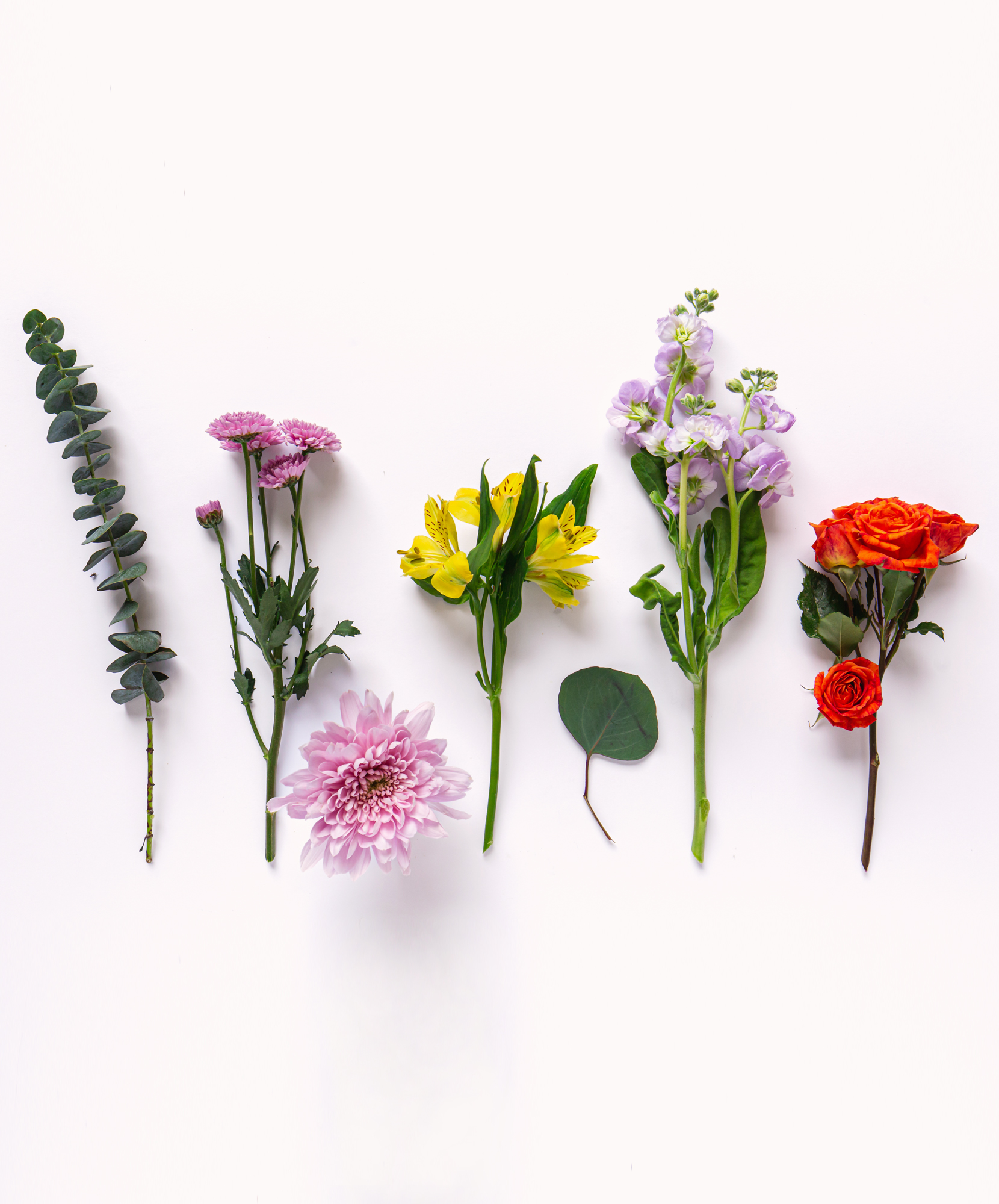 Radiant Blooms | BloomsyBox