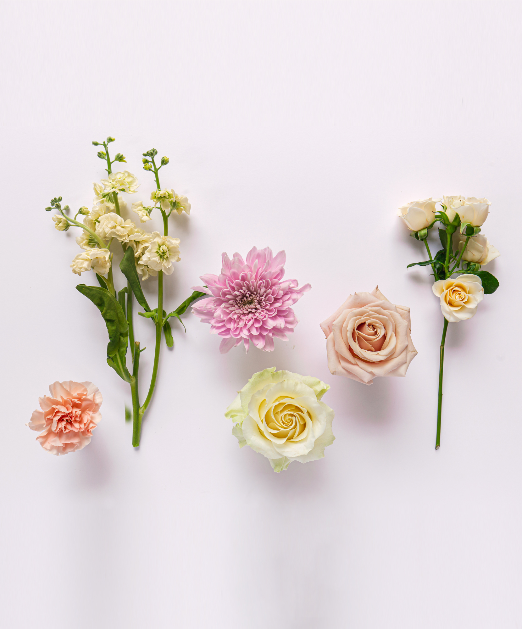 Creamsicle Dream | BloomsyBox