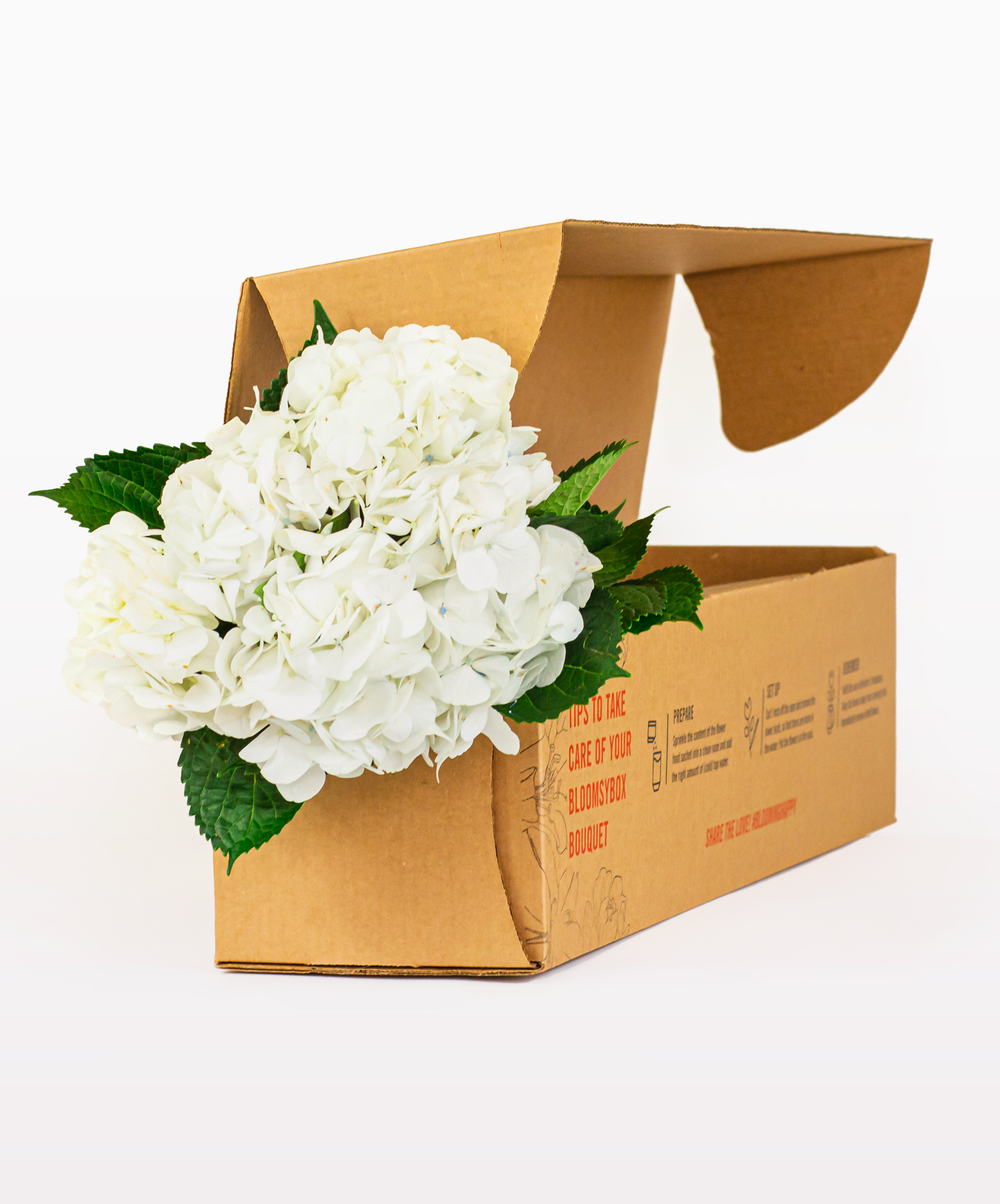 White Symphony Hydrangea Bouquet | BloomsyBox