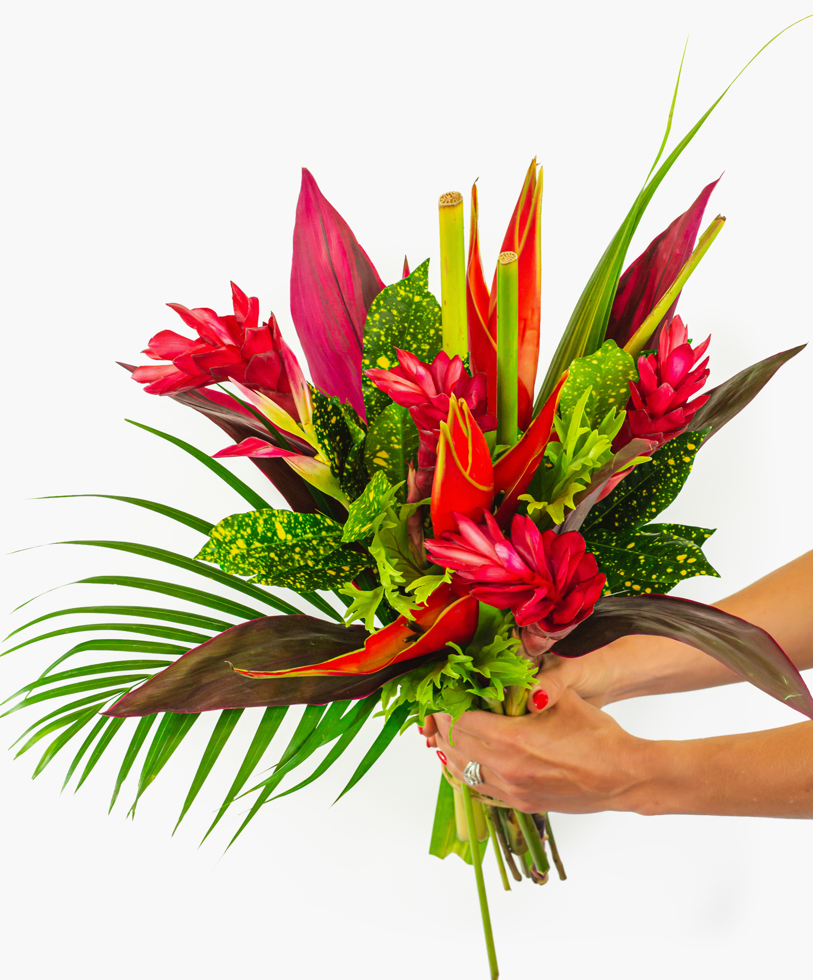 Tropical Treasure - Flower Delivery | BloomsyBox