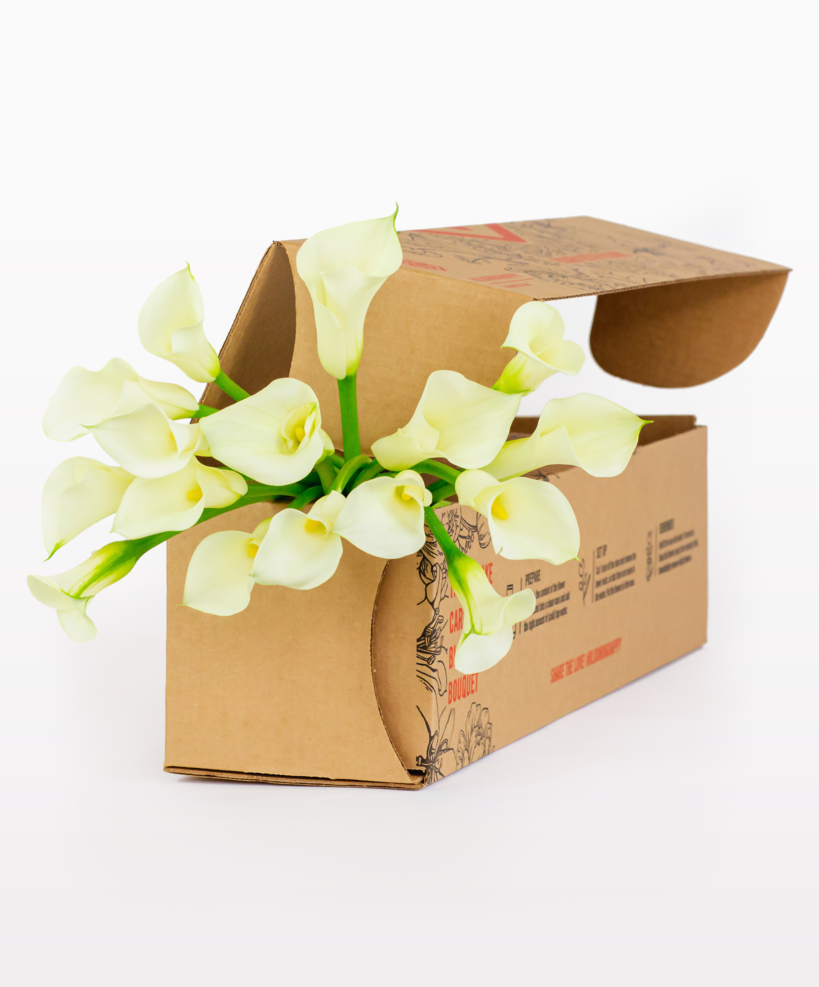 White Mini Callas Bouquet | BloomsyBox