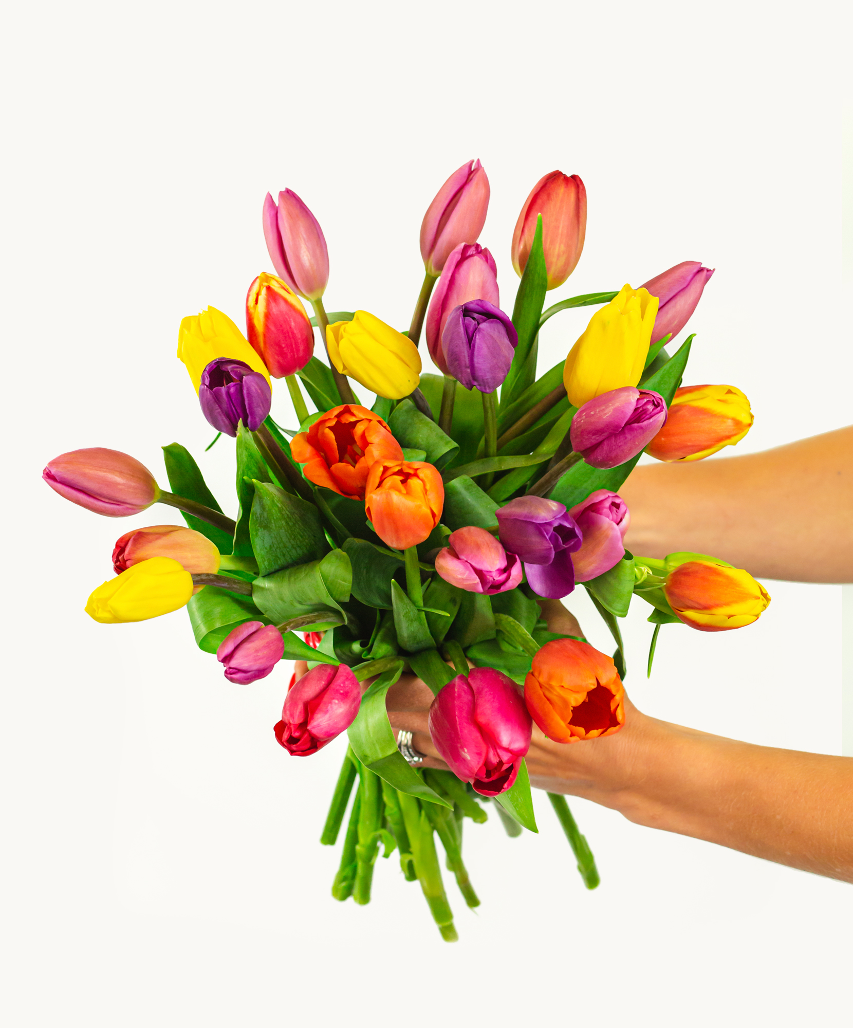 Tulip Bouquet Delivery | BloomsyBox